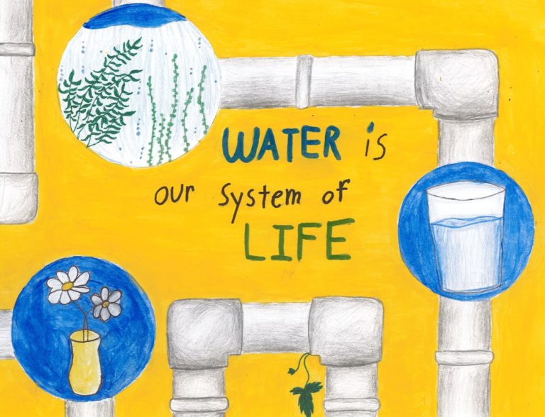 Upper District Announces Student Winners of the 2021 “Water is Life ...