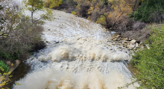 OCWD Captures Enough Water For 204,000 People During February Storms ...